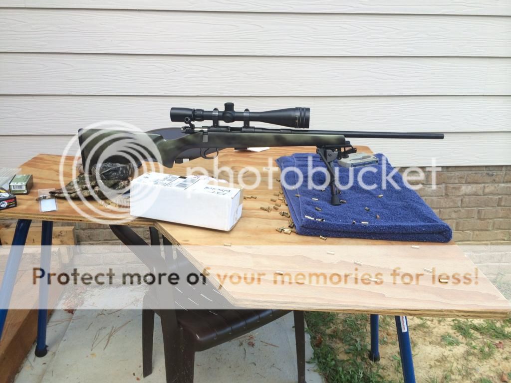 Sometimes the Ugly Ones Shoot Best | Rimfire Central Firearm Forum