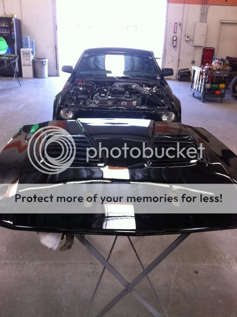 Tiger racing super louver hood | Page 21 | S197 Mustang Forum ...