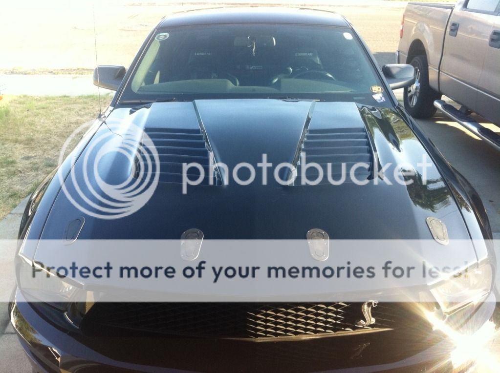 Tiger racing super louver hood | Page 21 | S197 Mustang Forum ...