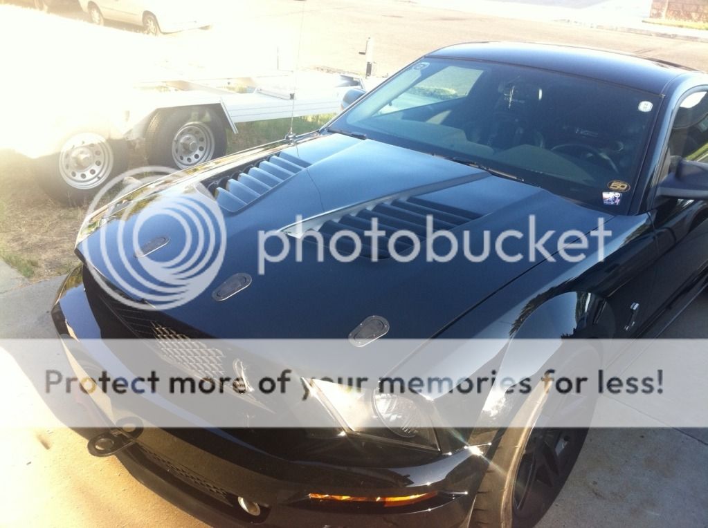 Tiger racing super louver hood | Page 21 | S197 Mustang Forum ...